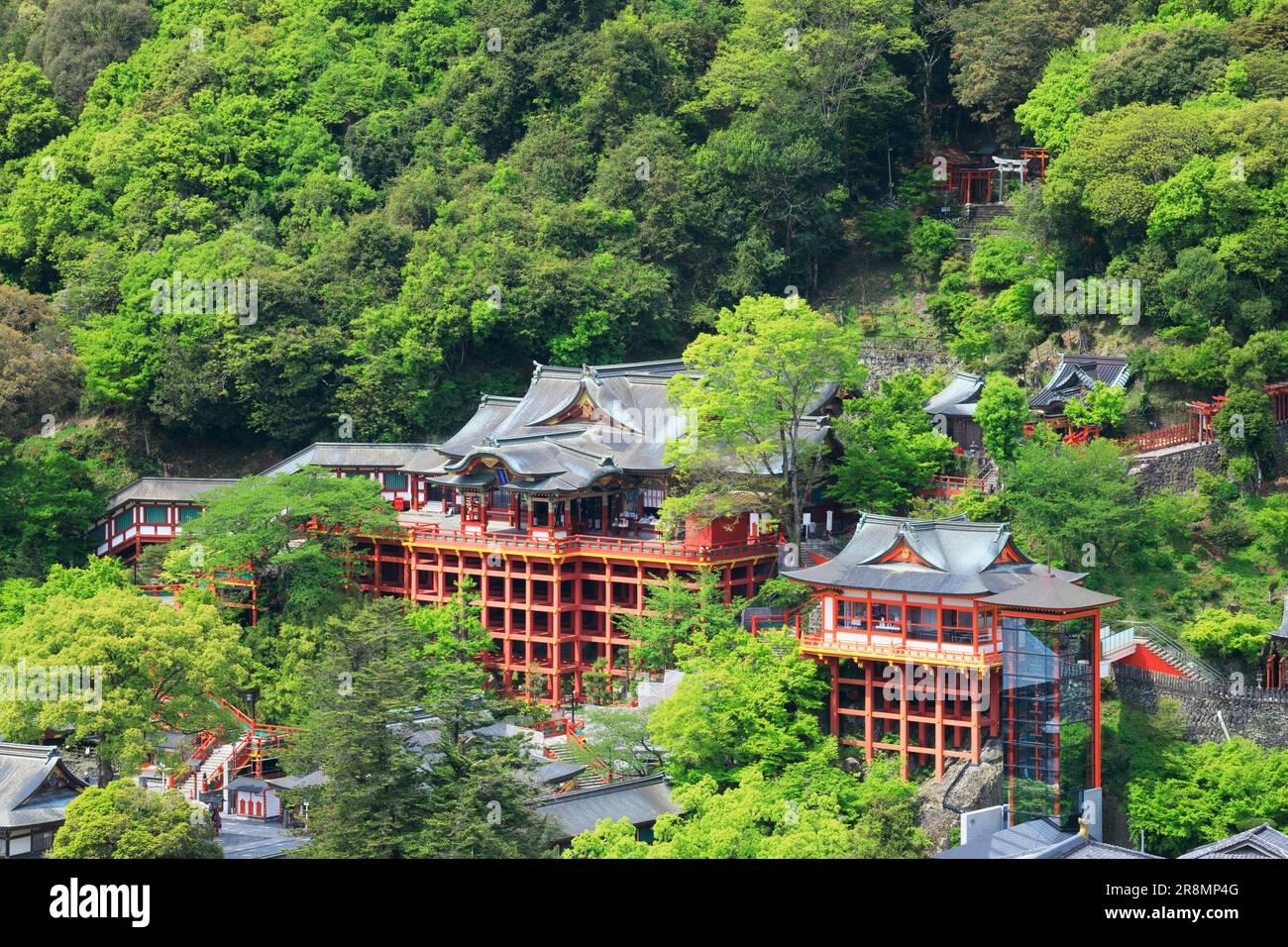 Yutoku Inari Shrine Stock Photo - Alamy