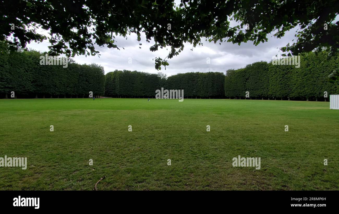 A lush, grassy field featuring two rows of tall hedges that surround ...