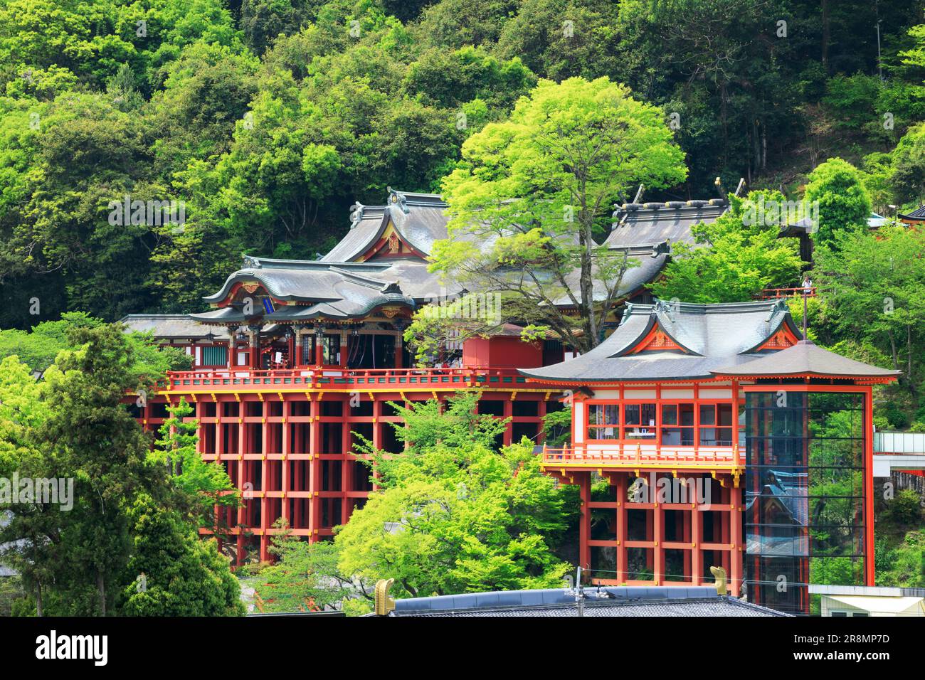 Yutoku Inari Shrine Stock Photo - Alamy