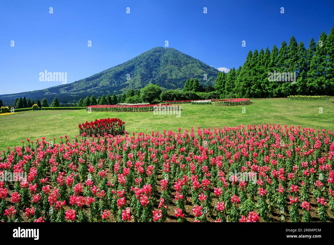 Ikoma highlands hi-res stock photography and images - Alamy