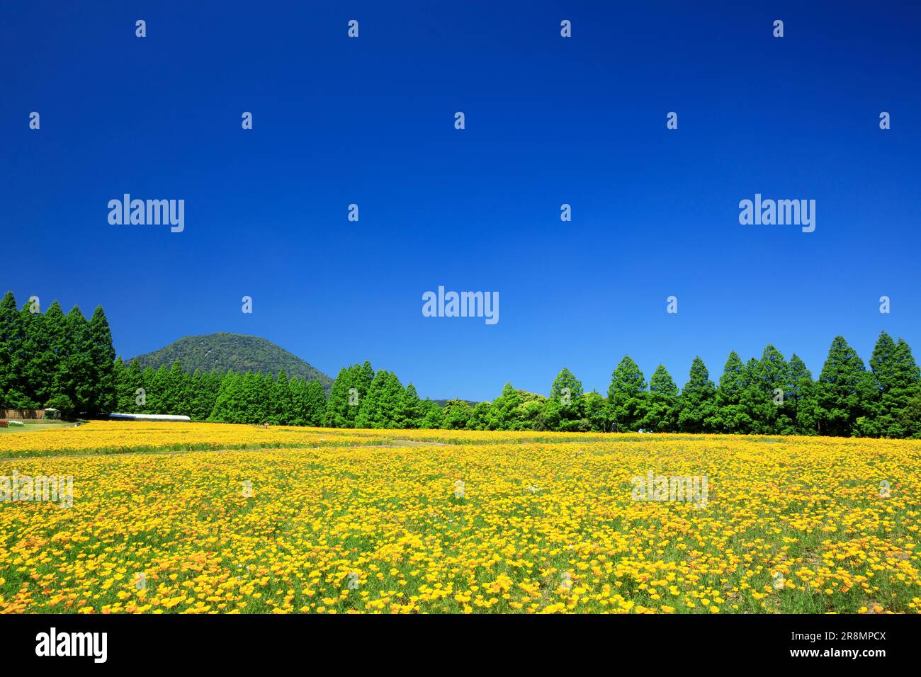 Ikoma highlands hi-res stock photography and images - Alamy