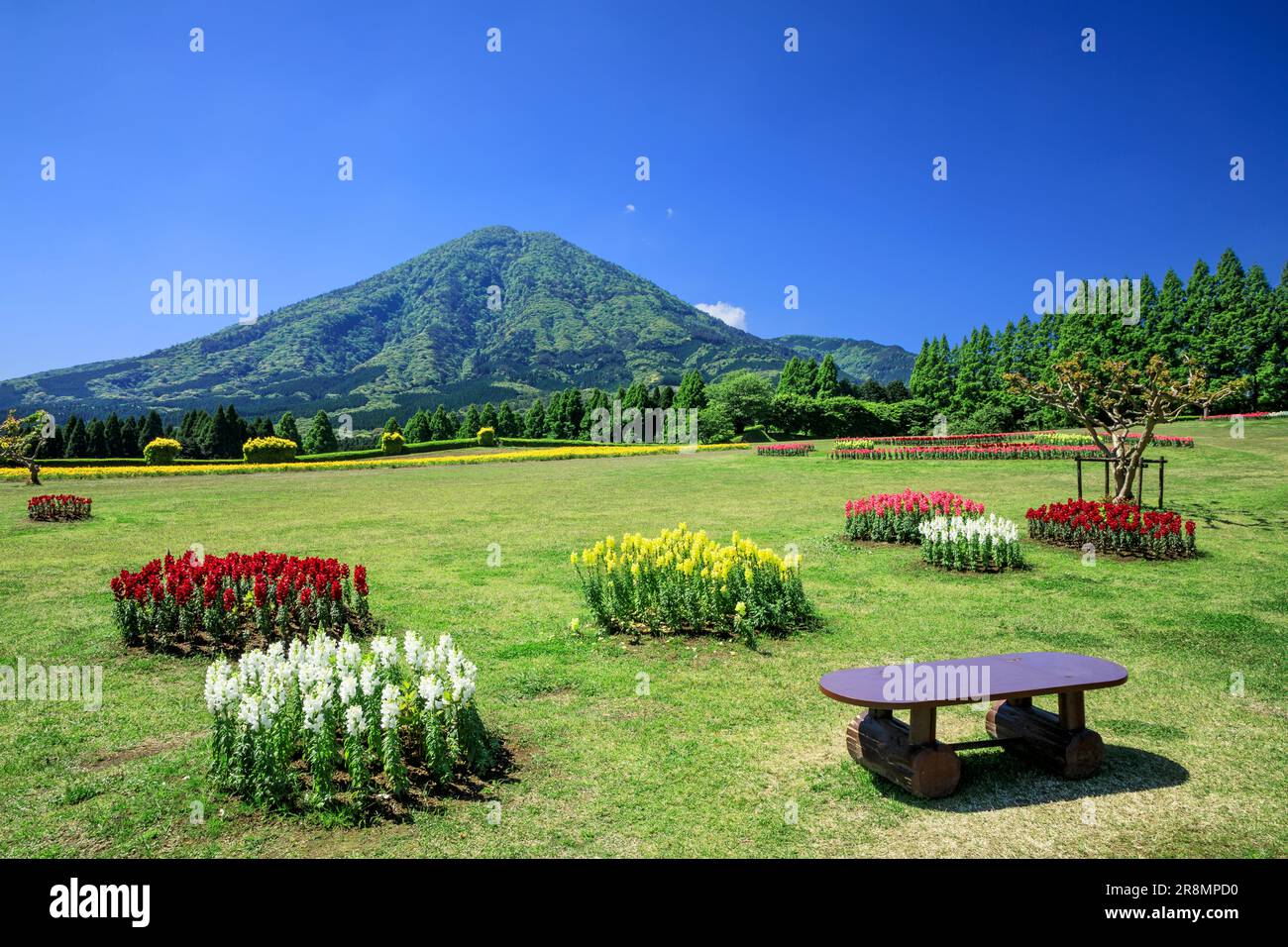 Ikoma highlands hi-res stock photography and images - Alamy