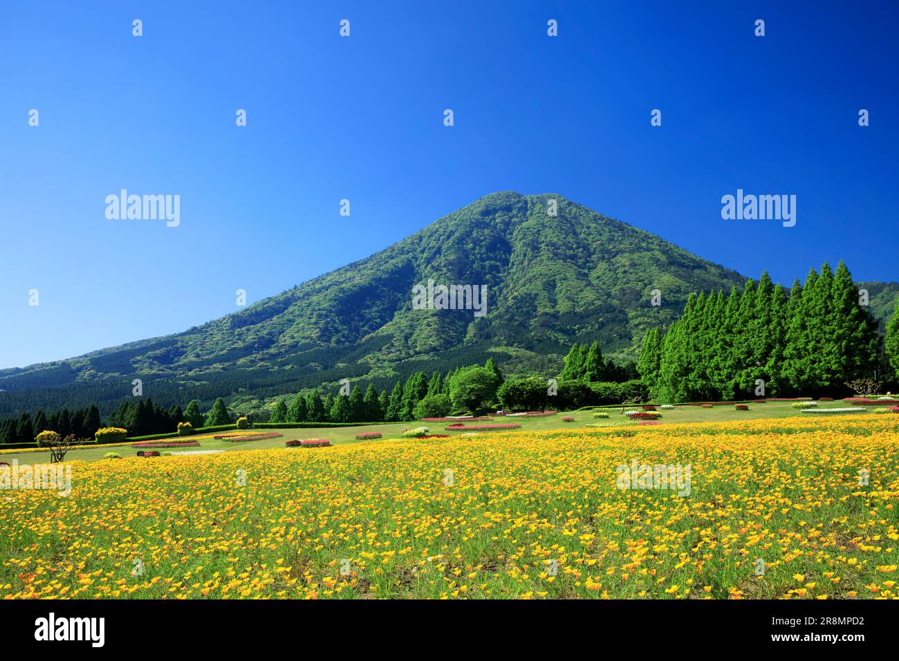 Ikoma highlands hi-res stock photography and images - Alamy