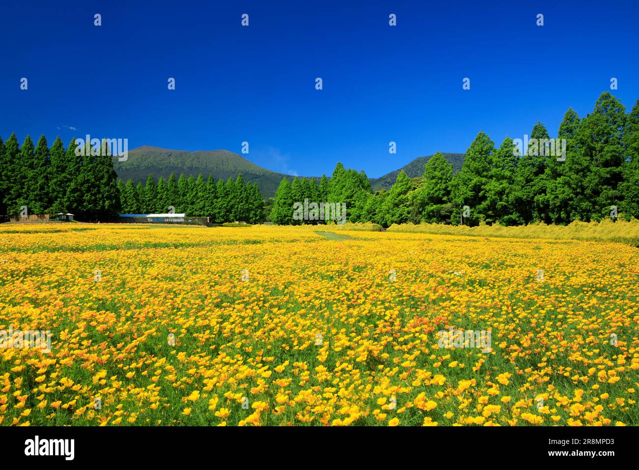 Ikoma highlands hi-res stock photography and images - Alamy