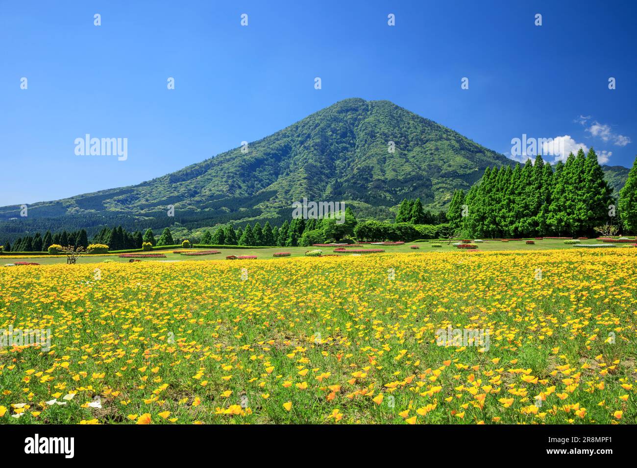 Ikoma highlands hi-res stock photography and images - Alamy