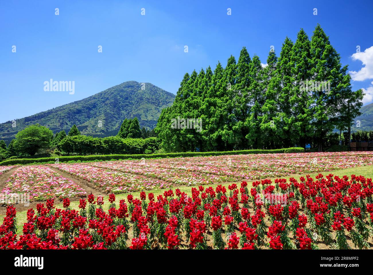 Ikoma highlands hi-res stock photography and images - Alamy