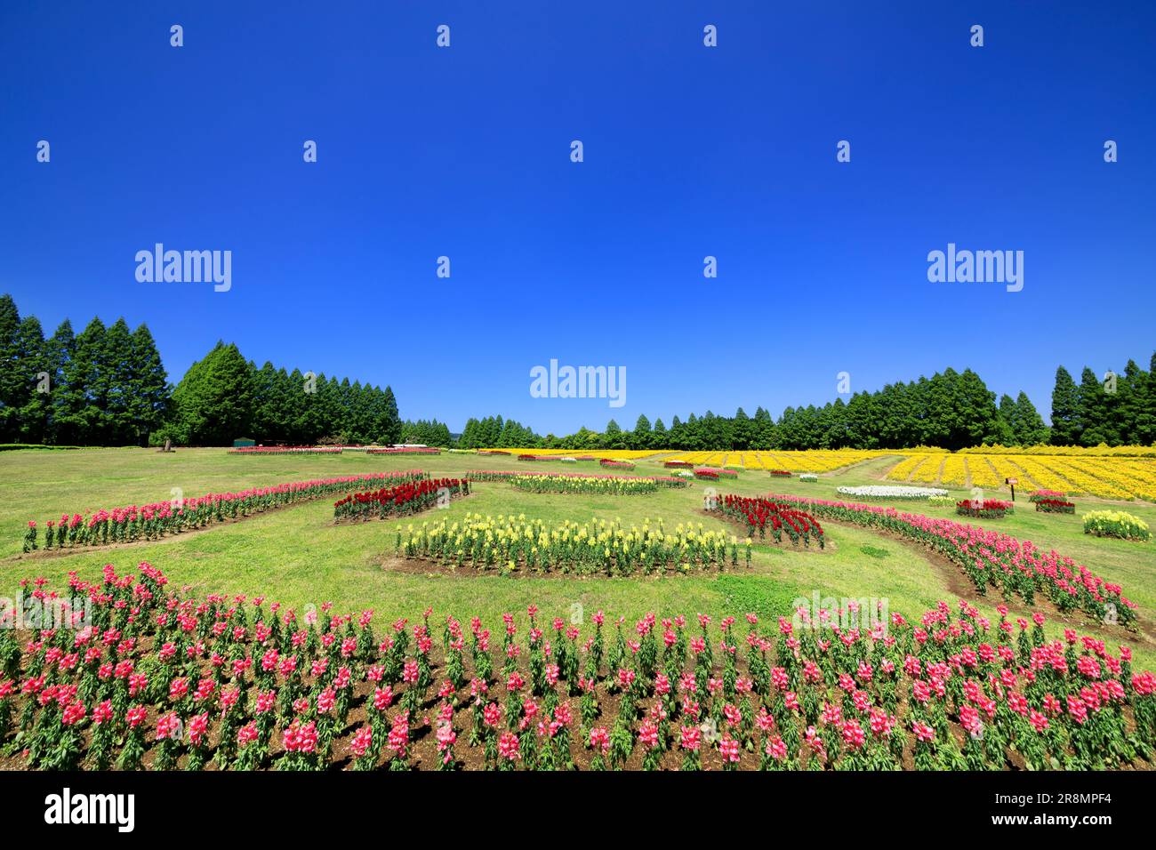 Ikoma highlands hi-res stock photography and images - Alamy
