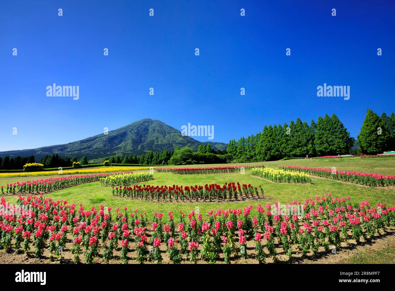 Ikoma highlands hi-res stock photography and images - Alamy
