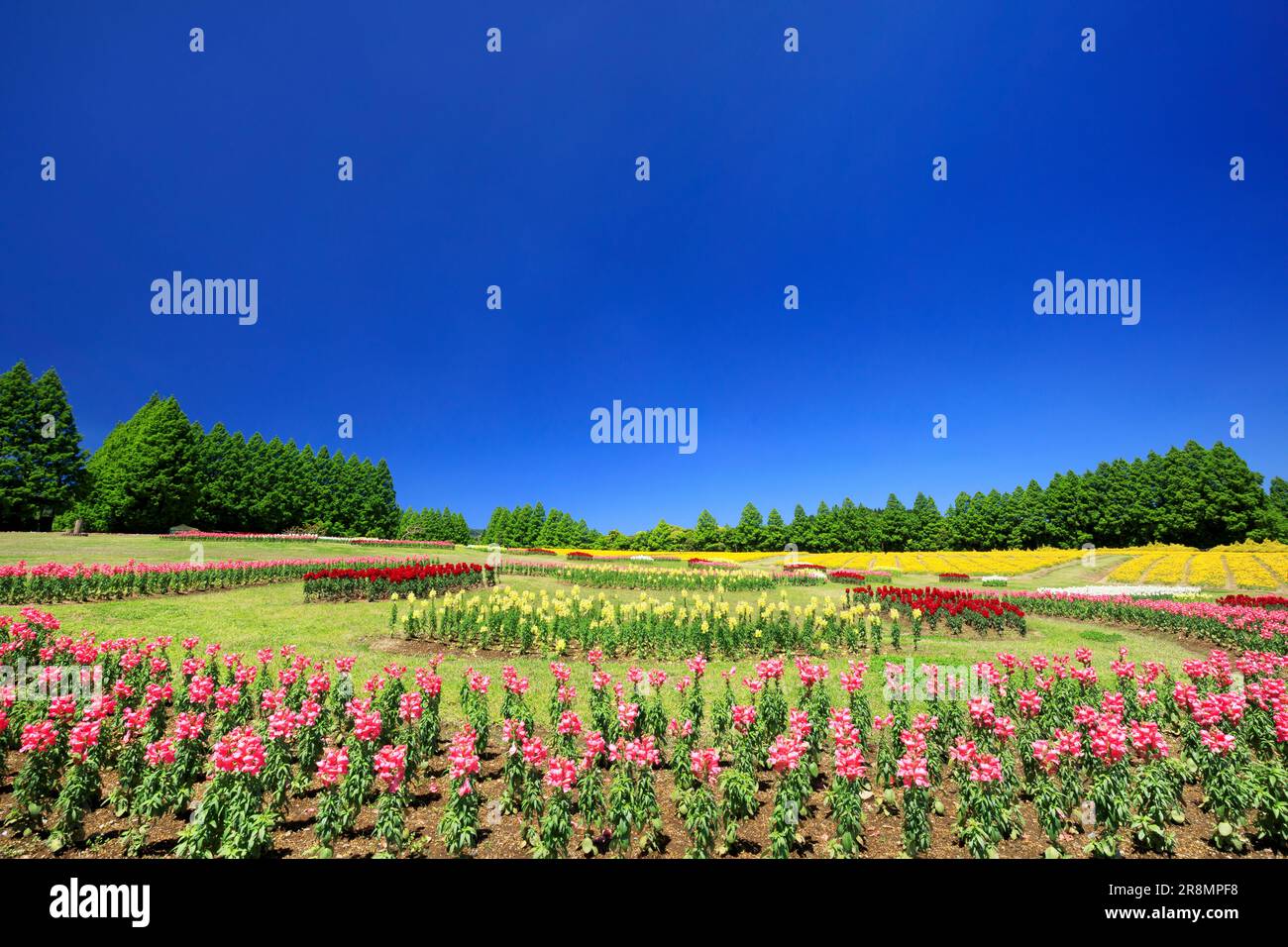 Ikoma highlands hi-res stock photography and images - Alamy