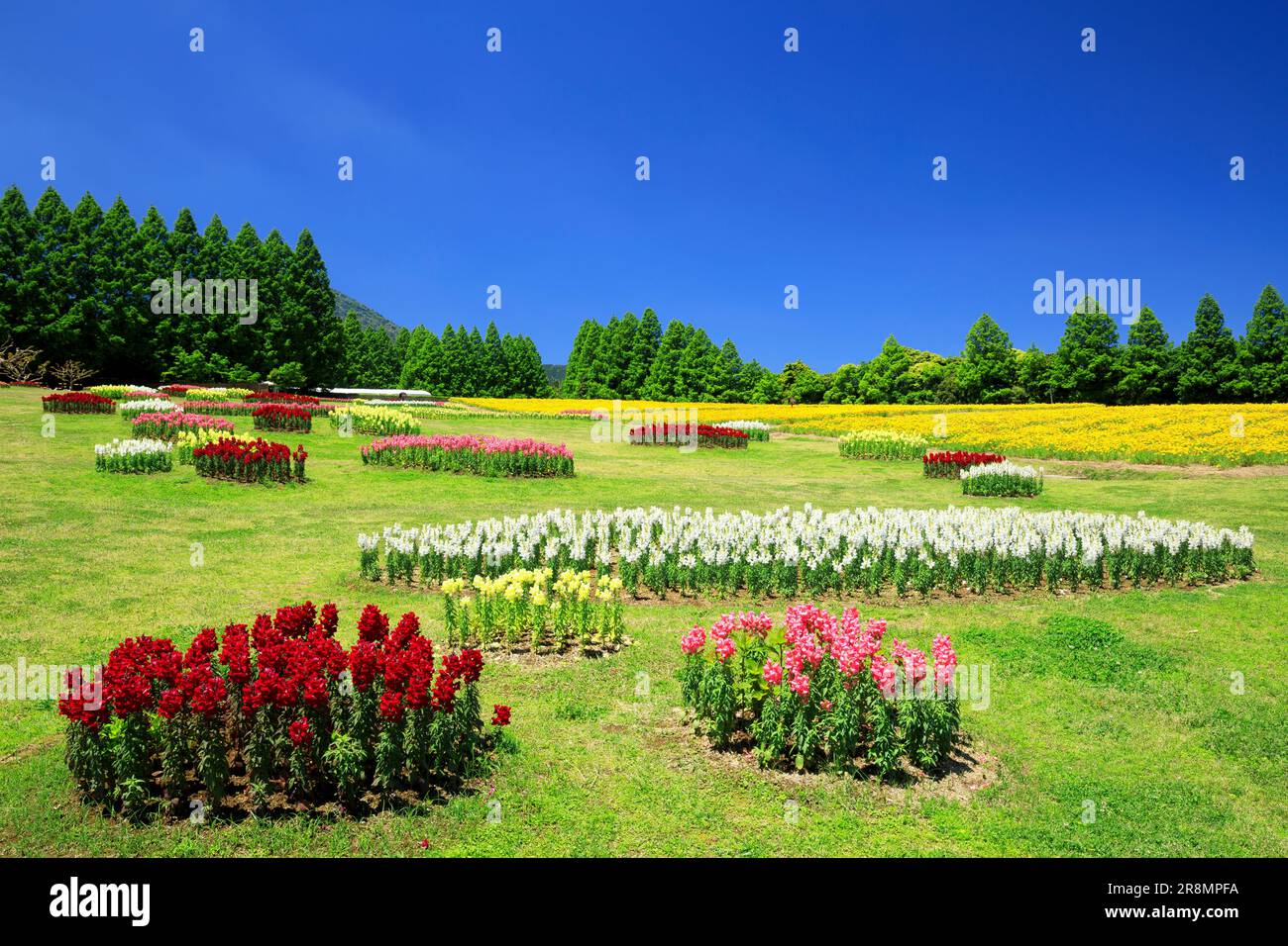 Ikoma highlands hi-res stock photography and images - Alamy