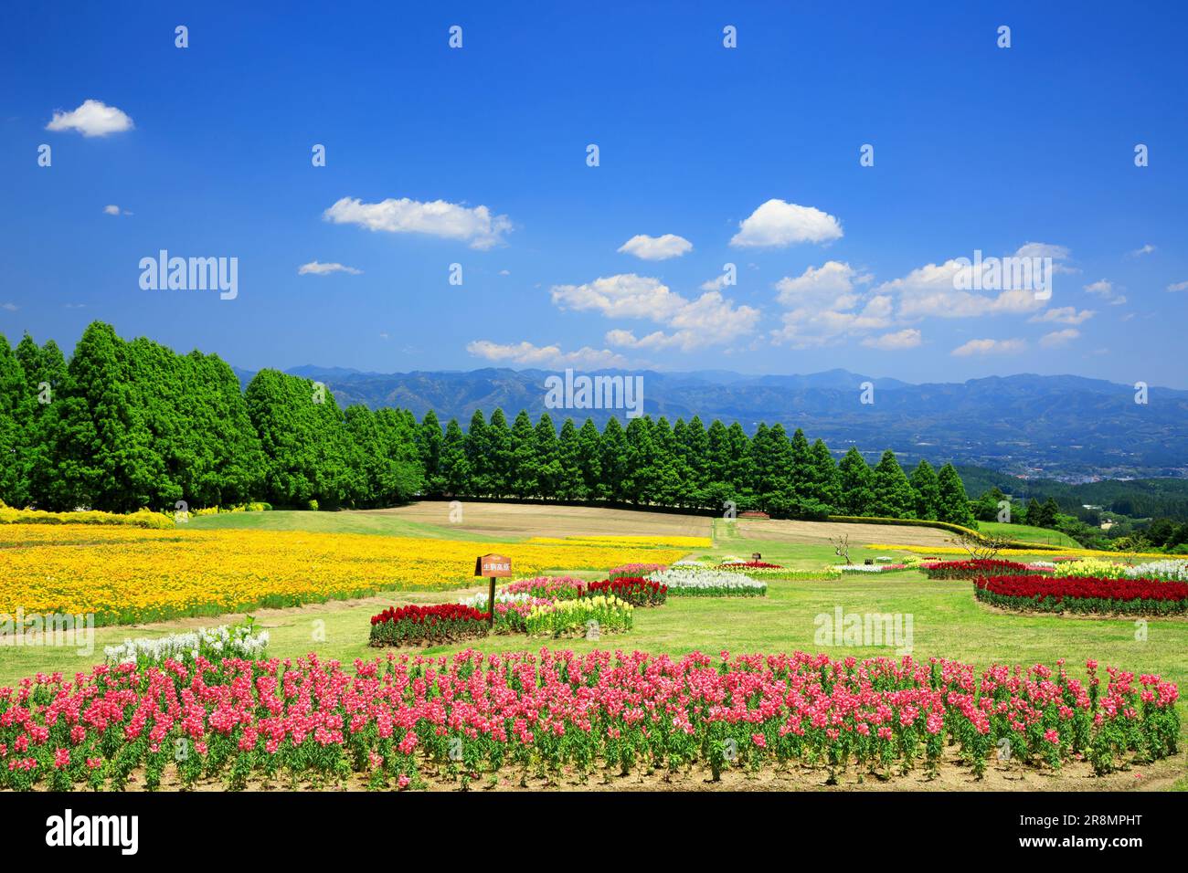 Ikoma highlands hi-res stock photography and images - Alamy