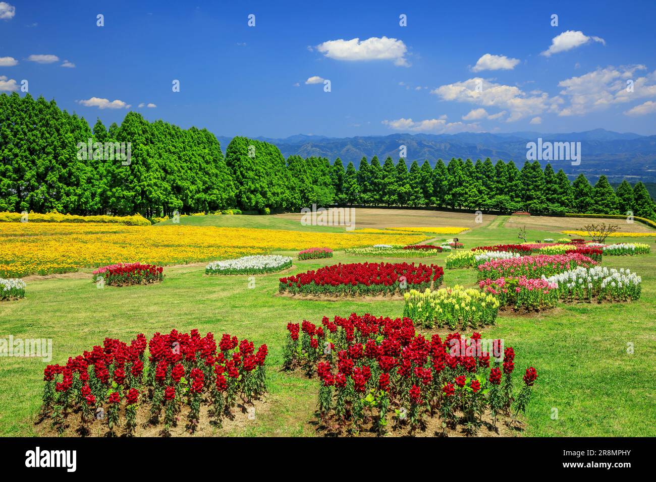 Ikoma highlands hi-res stock photography and images - Alamy
