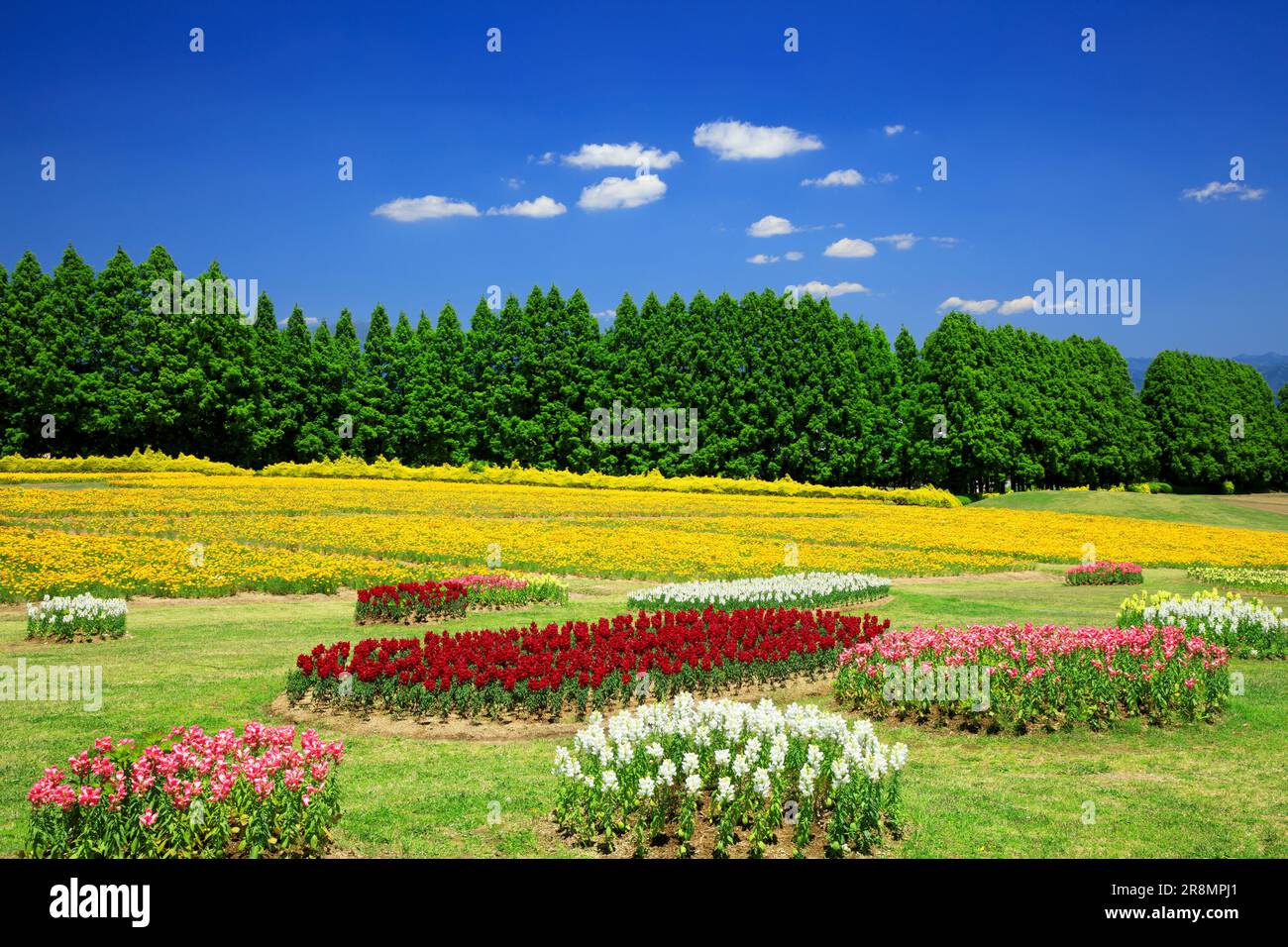 Ikoma japan hi-res stock photography and images - Alamy