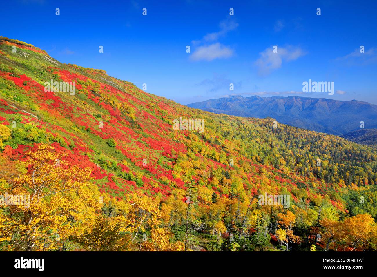 Niseikaushuppesan hi-res stock photography and images - Alamy