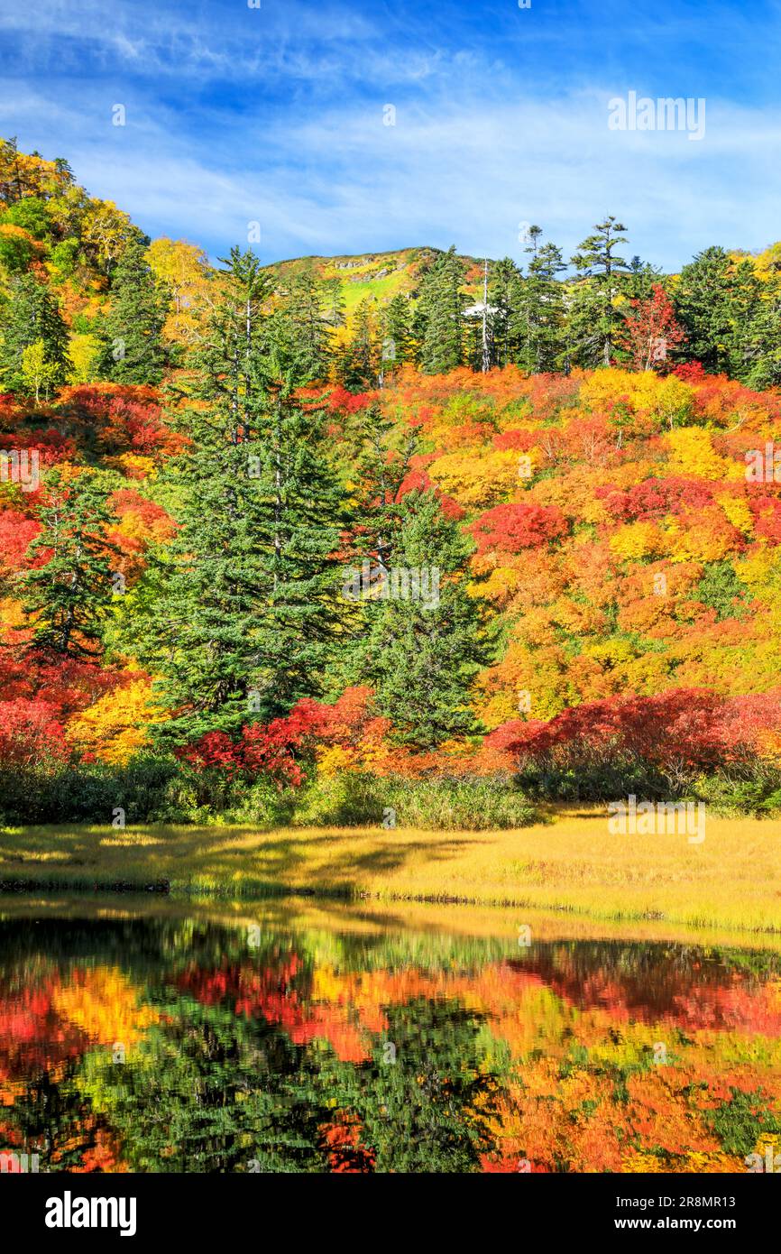 Takiminuma hi-res stock photography and images - Alamy