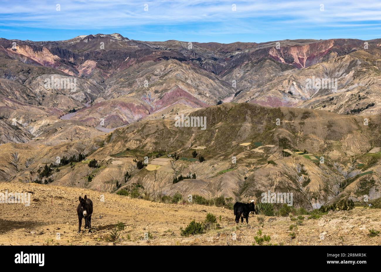Colorful mountain landscape in the remote Bolivian Andes between ...