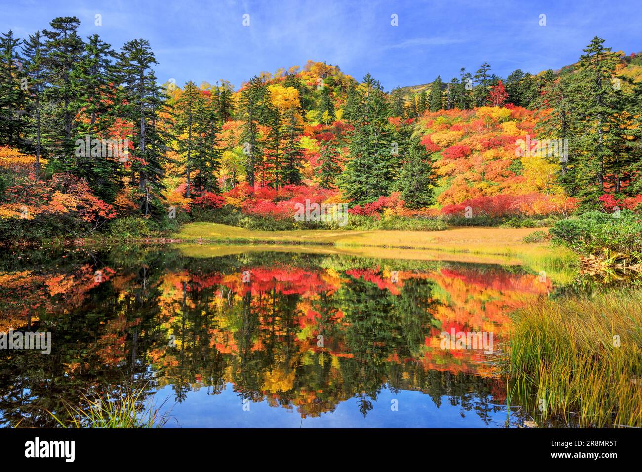 Takiminuma hi-res stock photography and images - Alamy