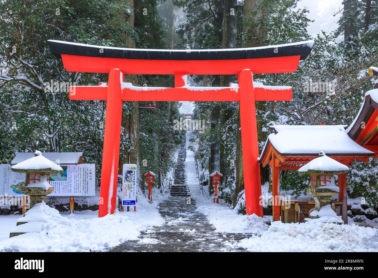 Approach to Hakone Shrine and torii gate in snow Stock Photo - Alamy