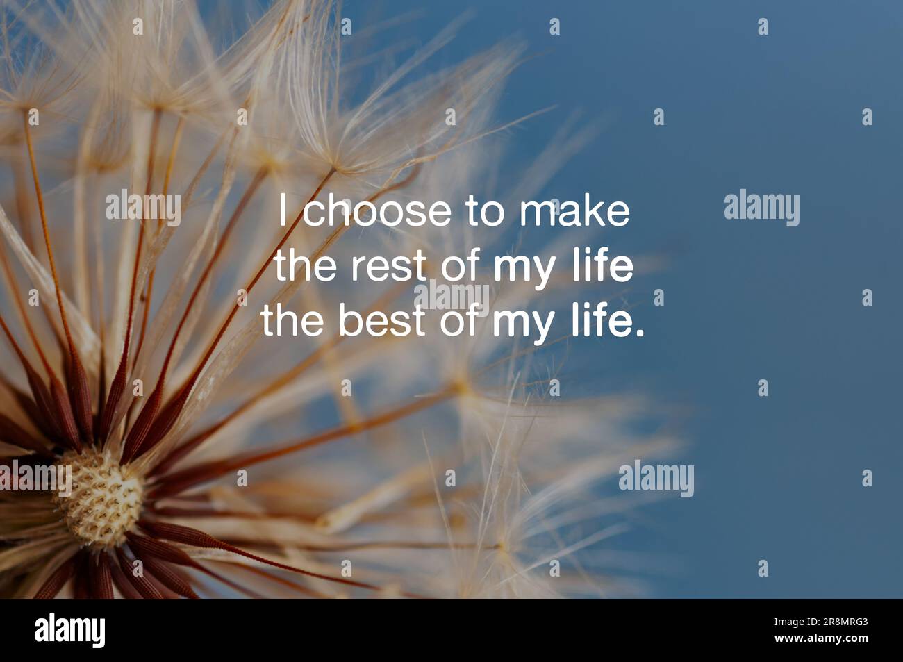 Dandelion background with inspirational quotes about - I choose to make ...