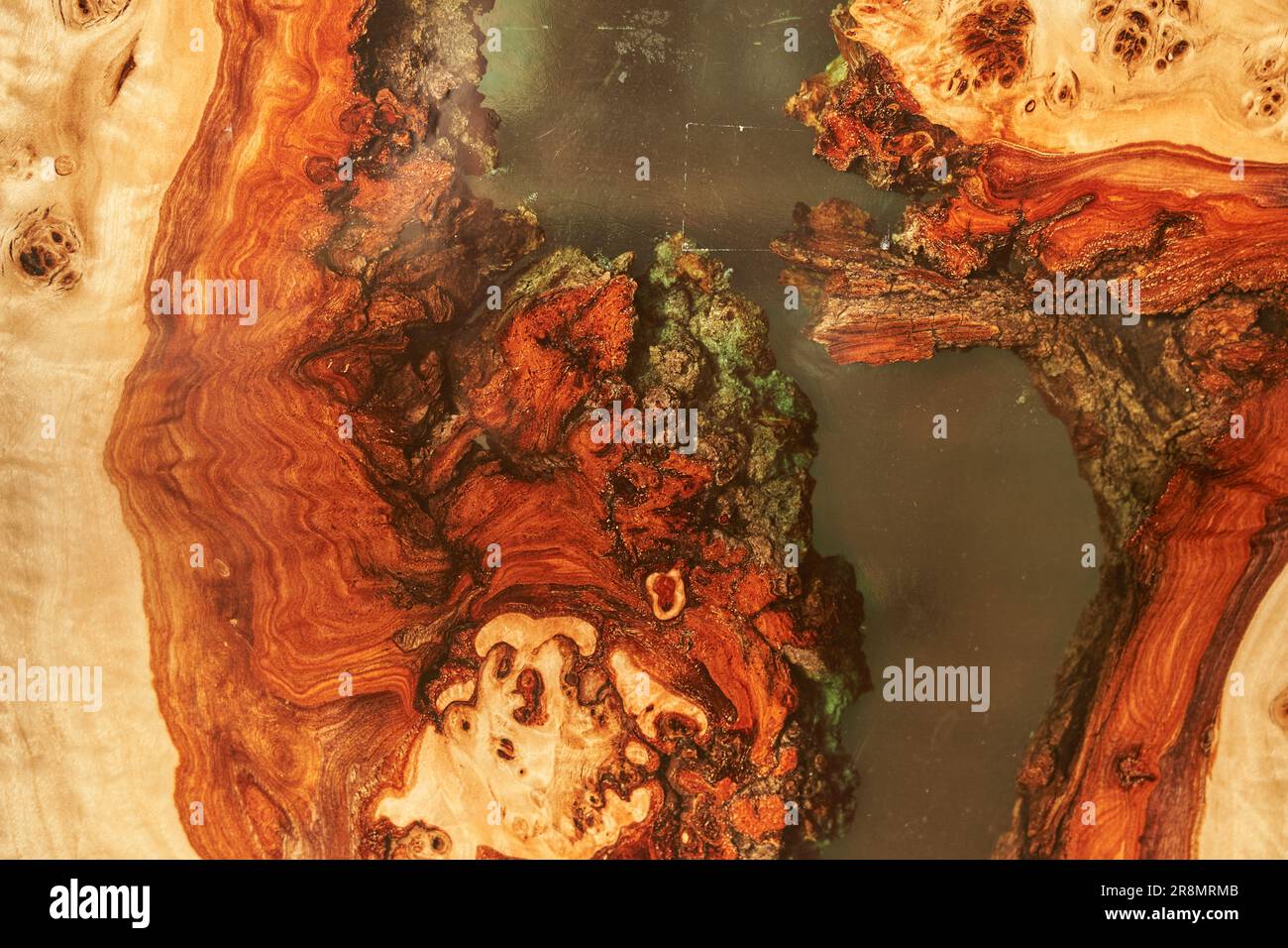 Wooden table covered with epoxy resin. Top view of a tree as a ...