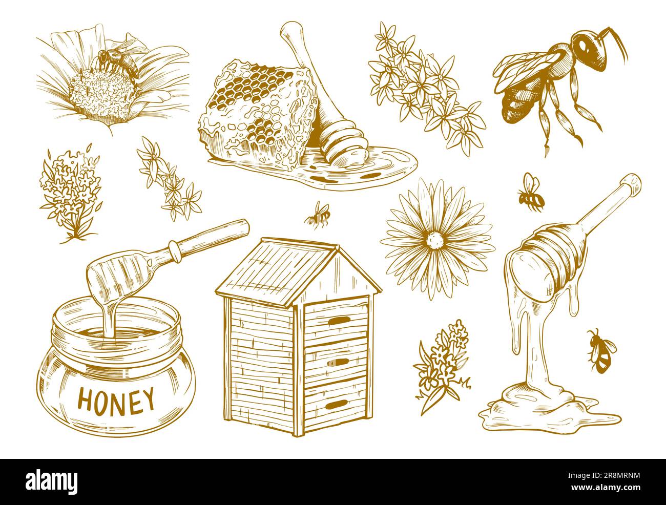 Hand drawn honey flat sketch set Stock Vector Image & Art - Alamy