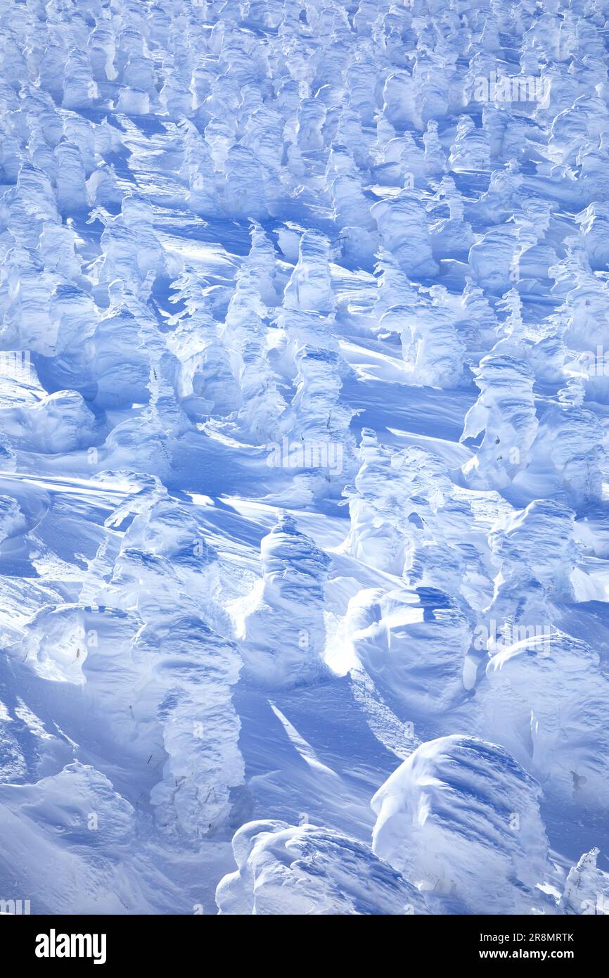 Juhyō in Zaō Stock Photo - Alamy