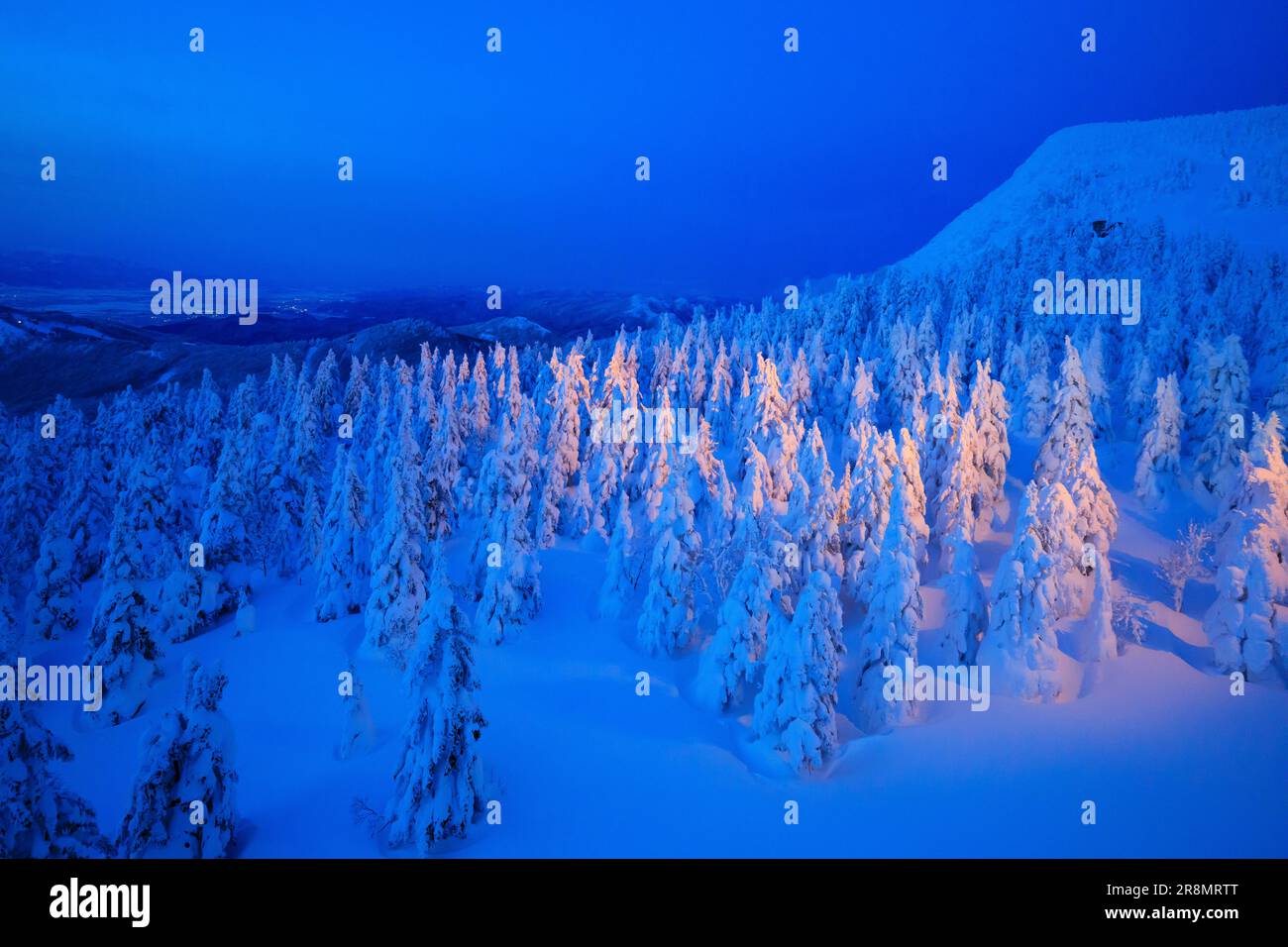 Juhyo light up hi-res stock photography and images - Alamy