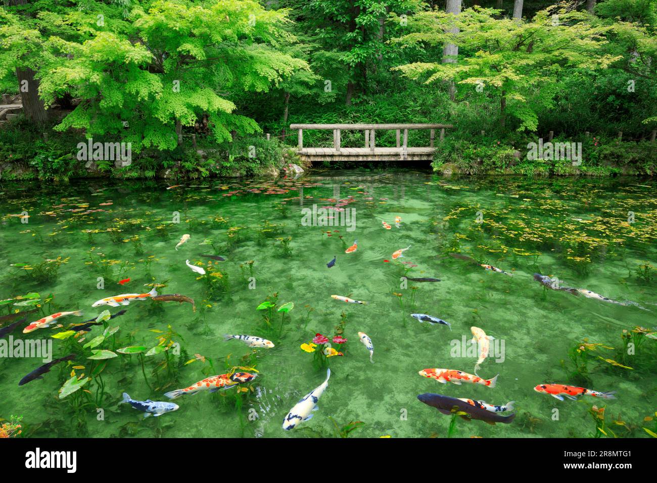 Claude monets landscape hi-res stock photography and images - Alamy