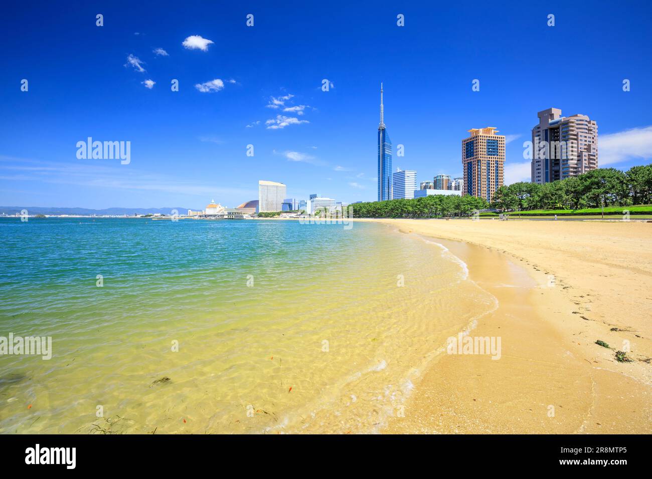 Seaside momochi hi-res stock photography and images - Alamy
