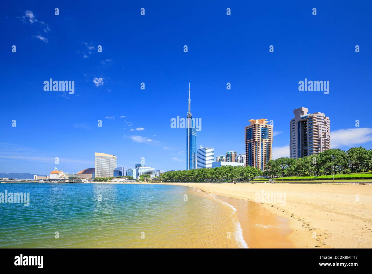Momochi seaside park japan hi-res stock photography and images - Alamy