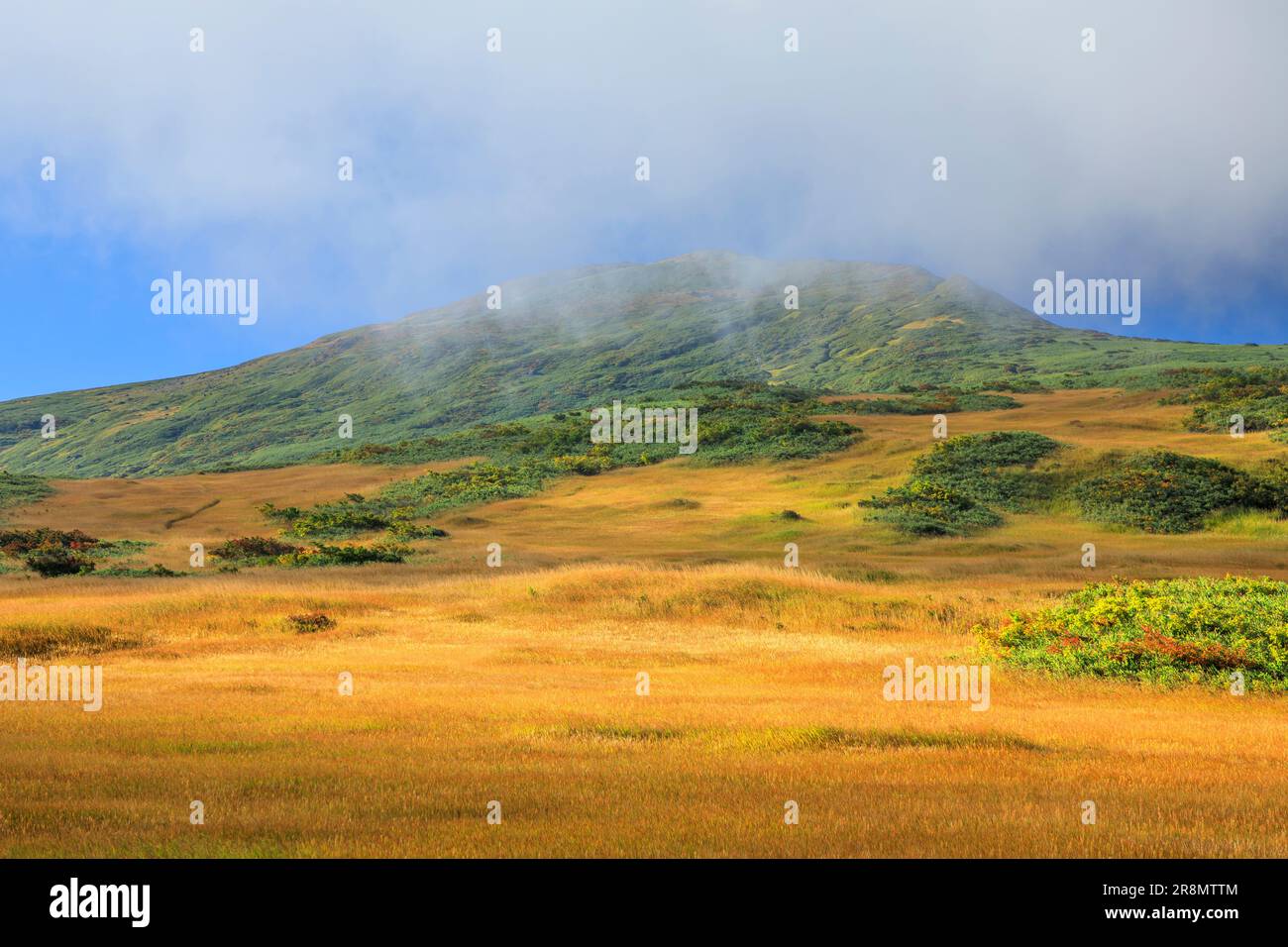 Mt. Gassan Midagahara Stock Photo - Alamy
