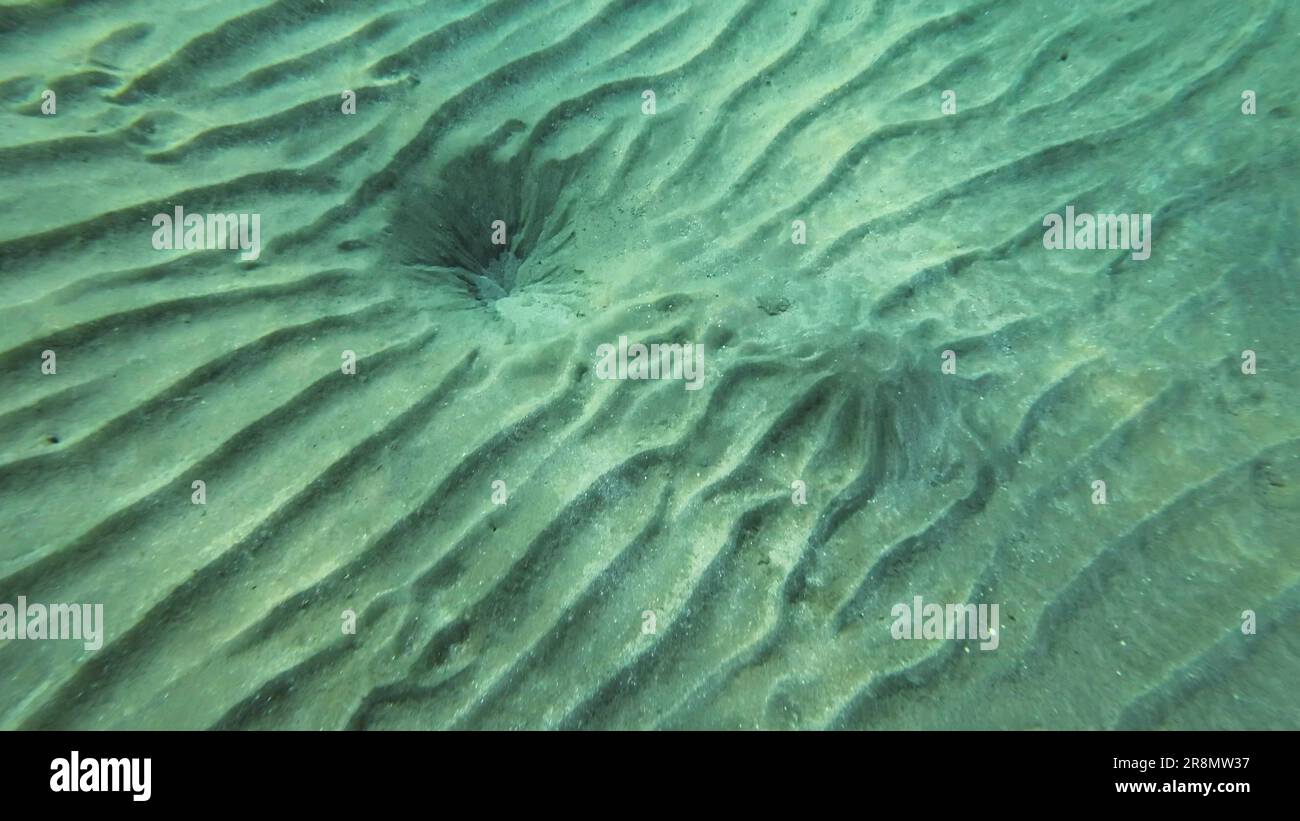 Sandy bottom covered with sand hills, Natural background from the ...