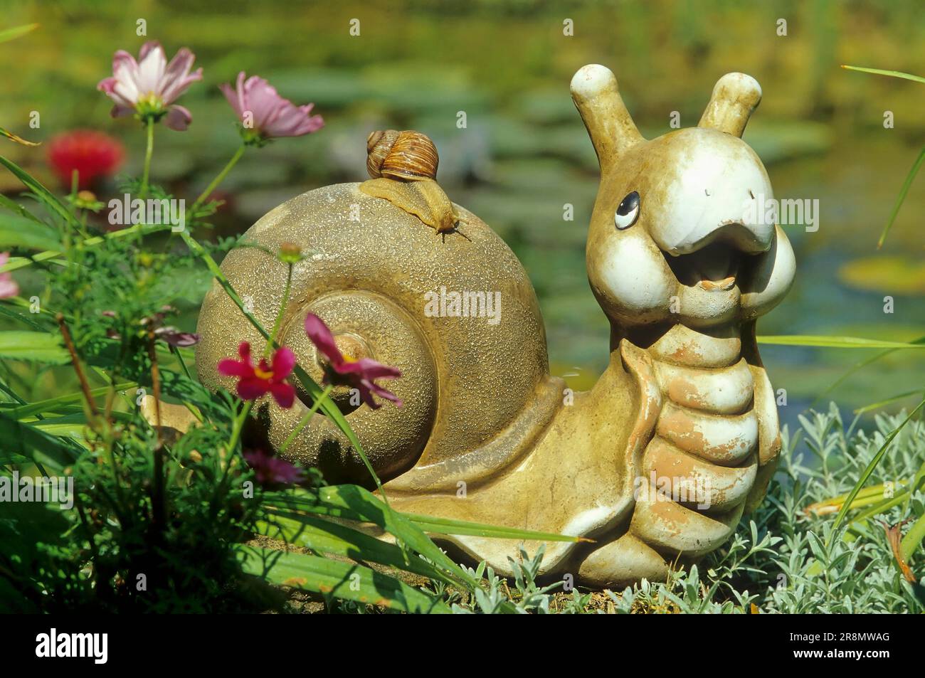 Screw flower hi-res stock photography and images - Alamy