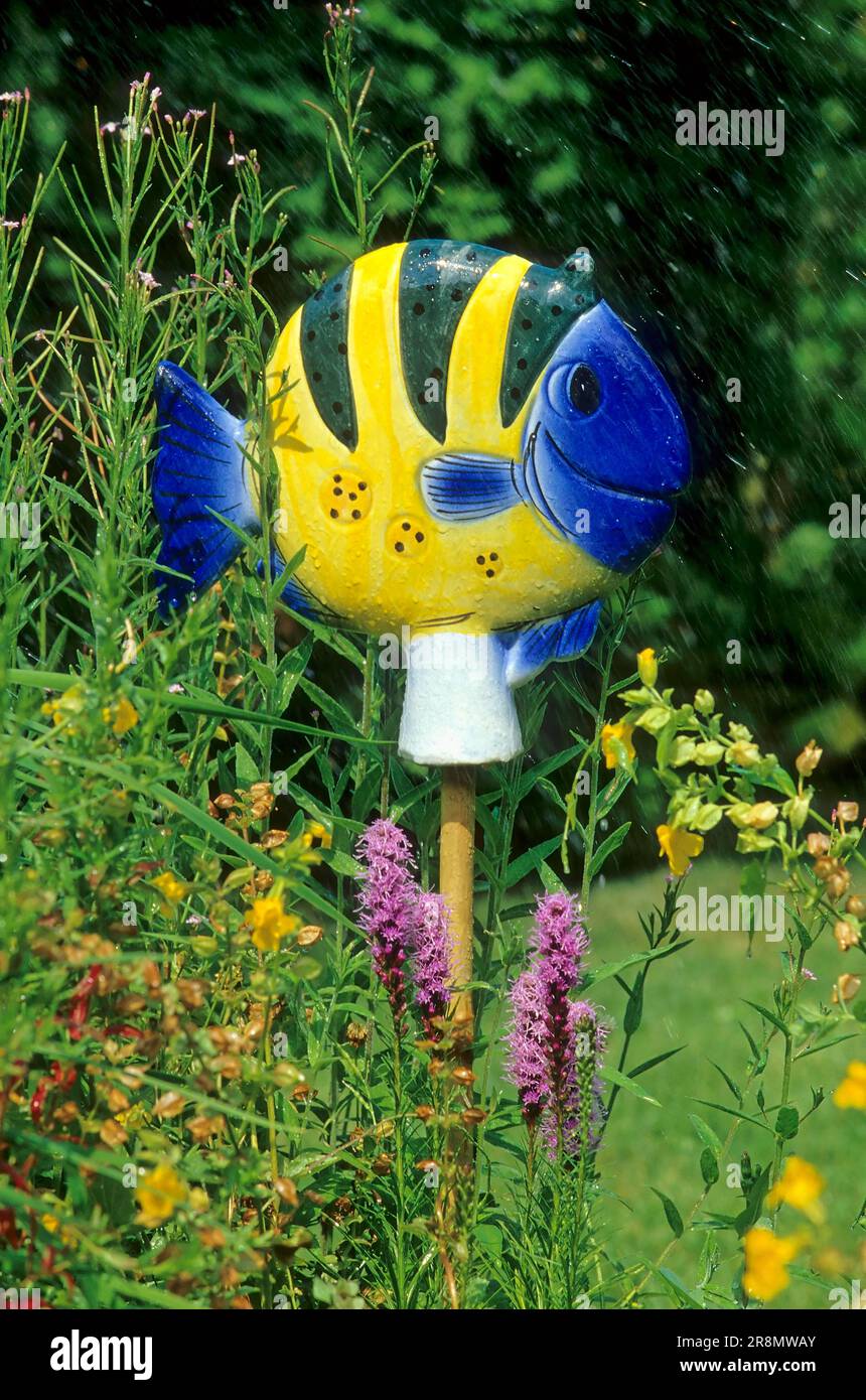 Ceramic fish hi-res stock photography and images - Alamy