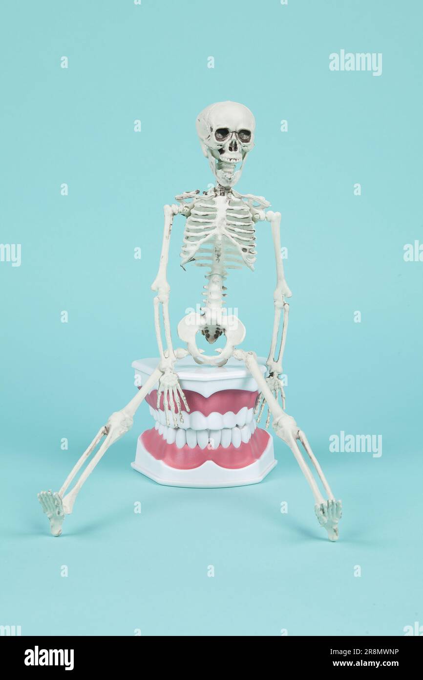 a plastic skeleton sitting on a denture. turquoise background. Minimal ...