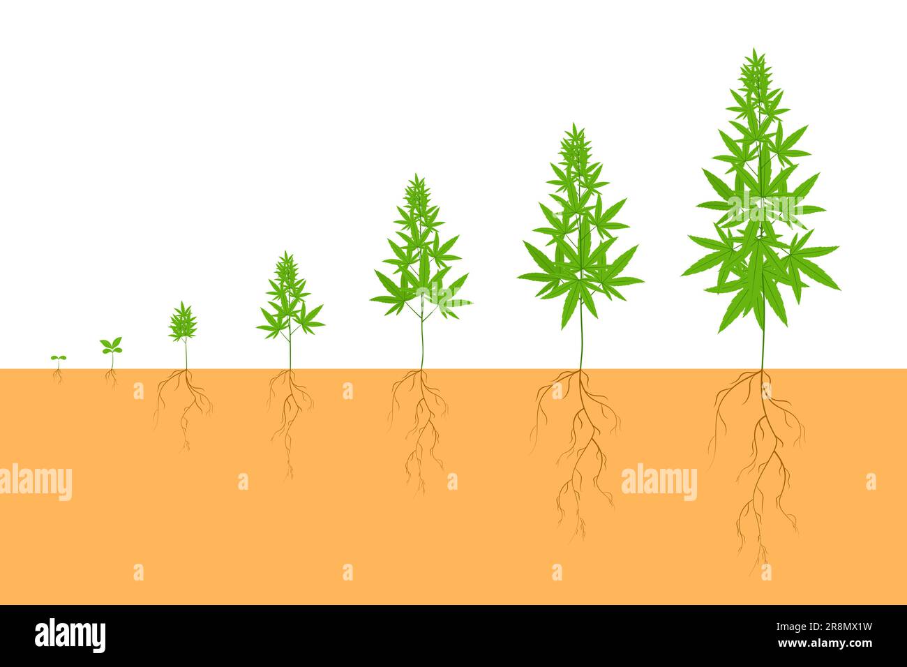 Hemp commercial Stock Vector Images - Alamy