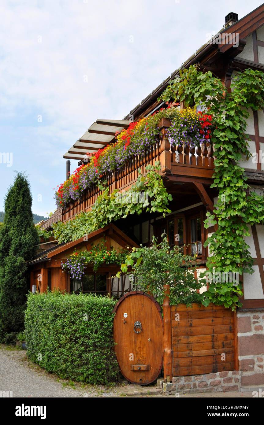 North, Black Forest : Loffenau, overgrown balcony with flowers Stock ...