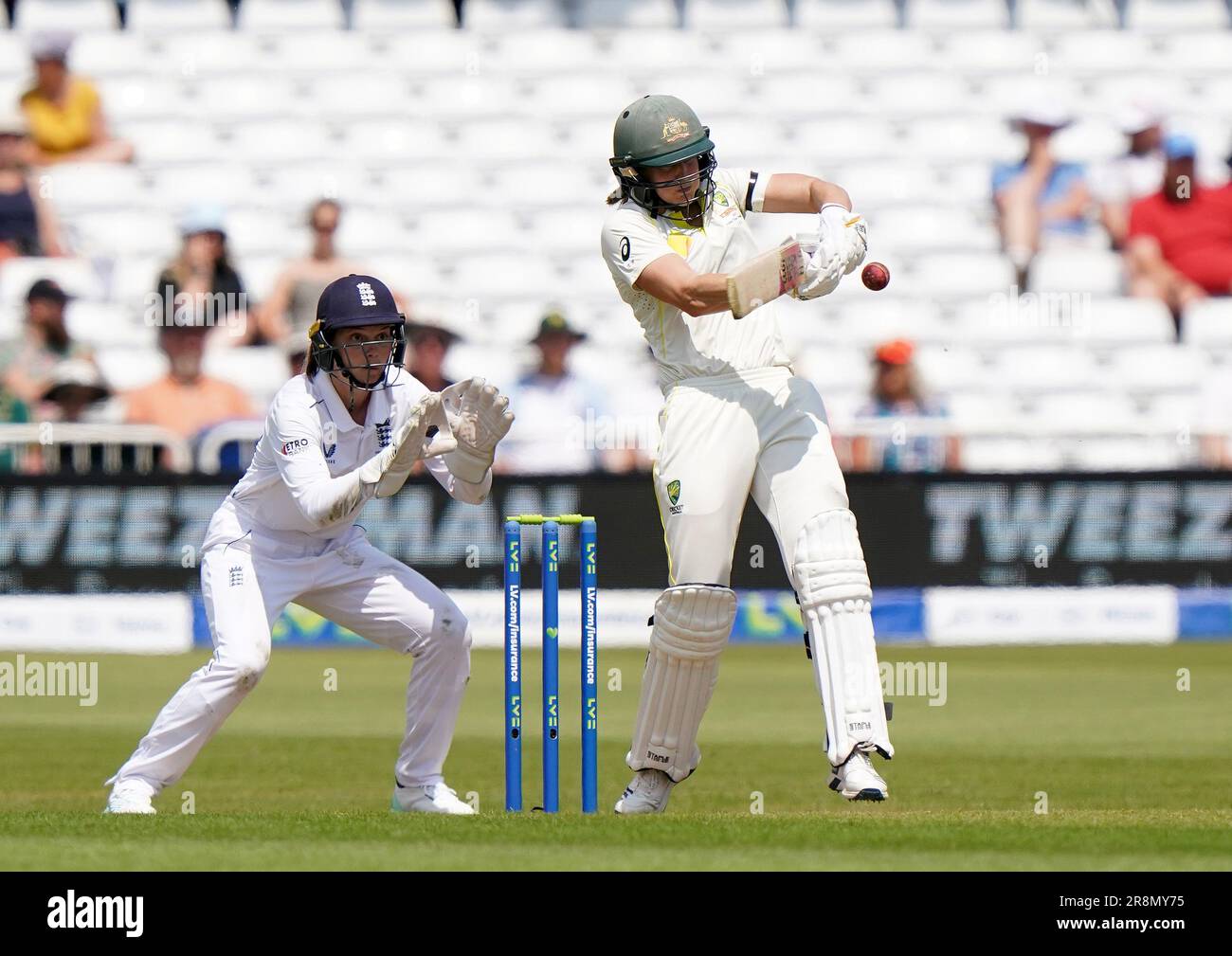 2023 ashes hi-res stock photography and images - Alamy