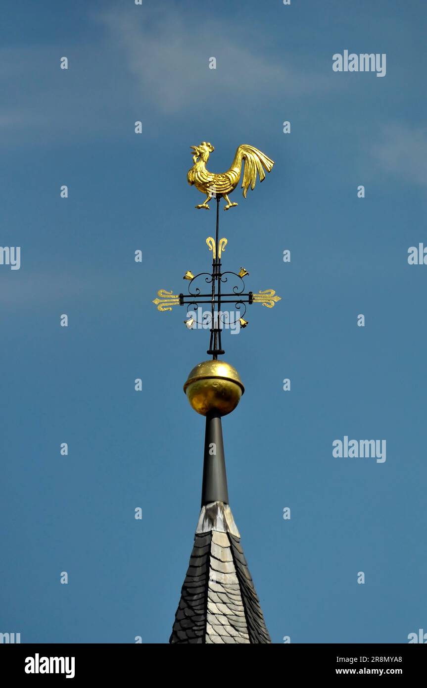 Animal on tower hi-res stock photography and images - Alamy