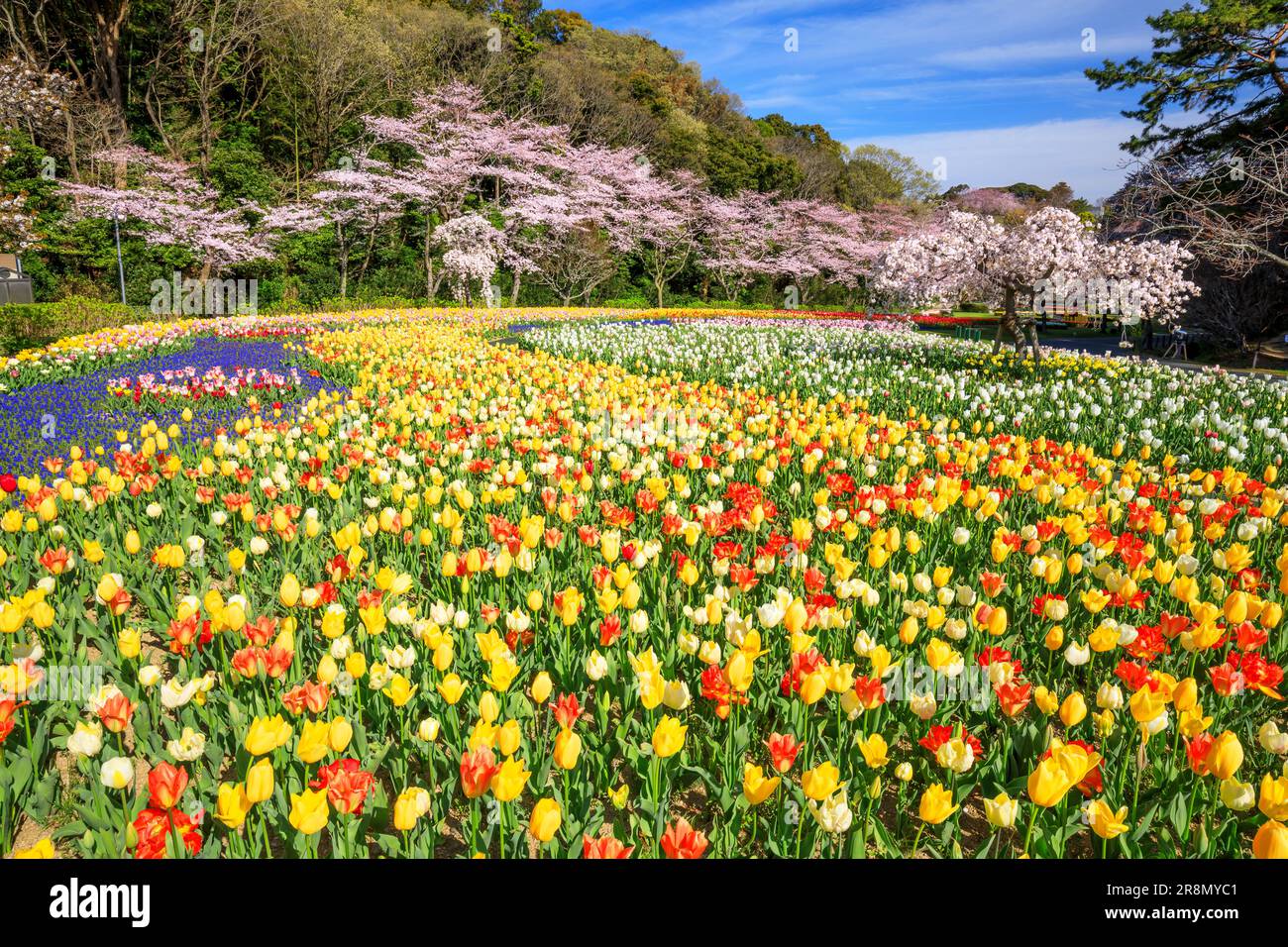 Hamamatsu flower park hi-res stock photography and images - Alamy