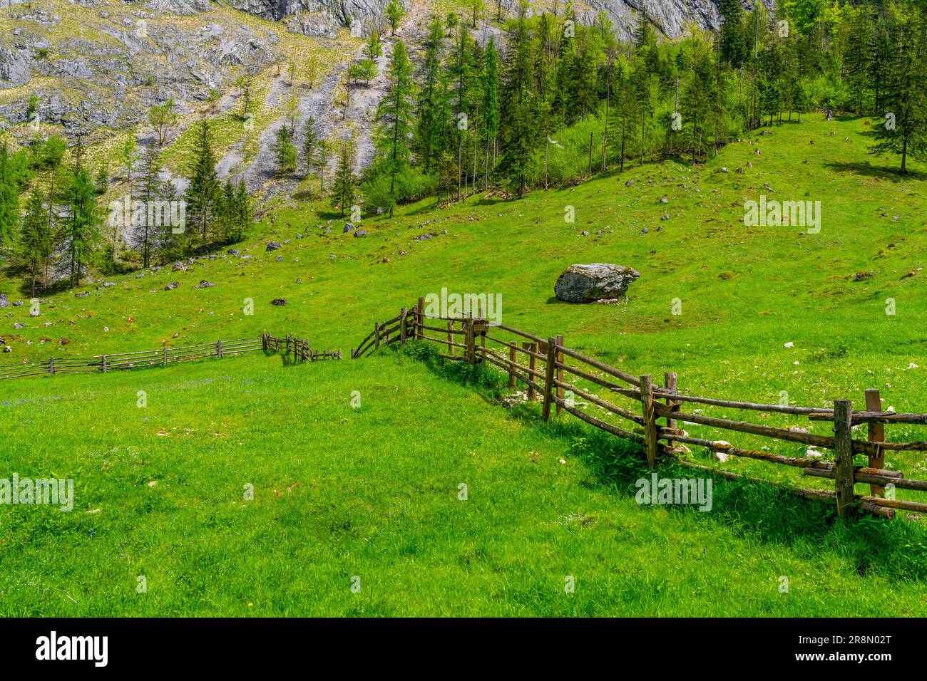 Landscape and mountain pasture at Obersee, Berchtesgadener Land ...