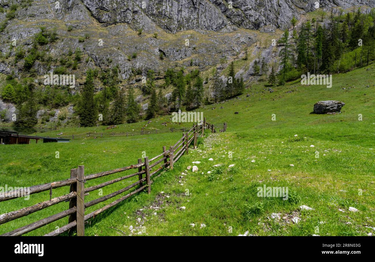 Landscape and mountain pasture at Obersee, Berchtesgadener Land ...