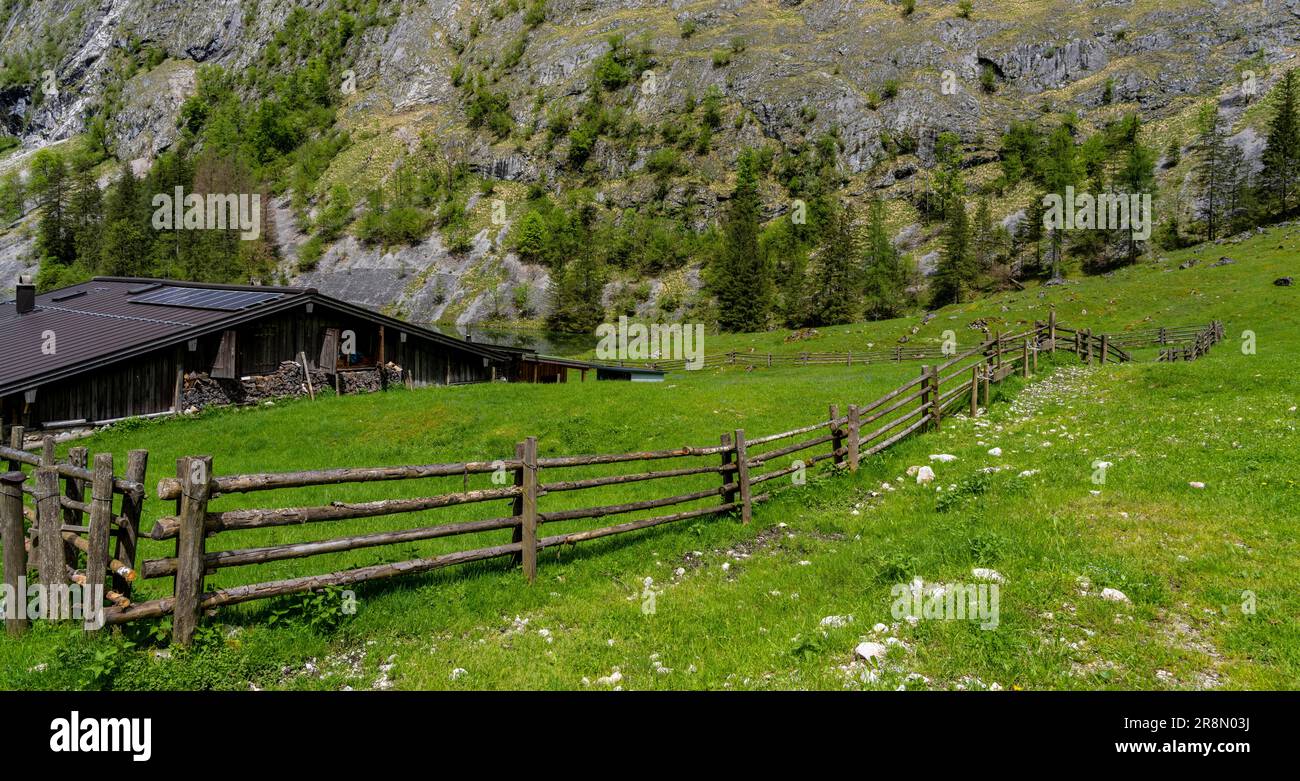 Landscape and mountain pasture at Obersee, Berchtesgadener Land ...