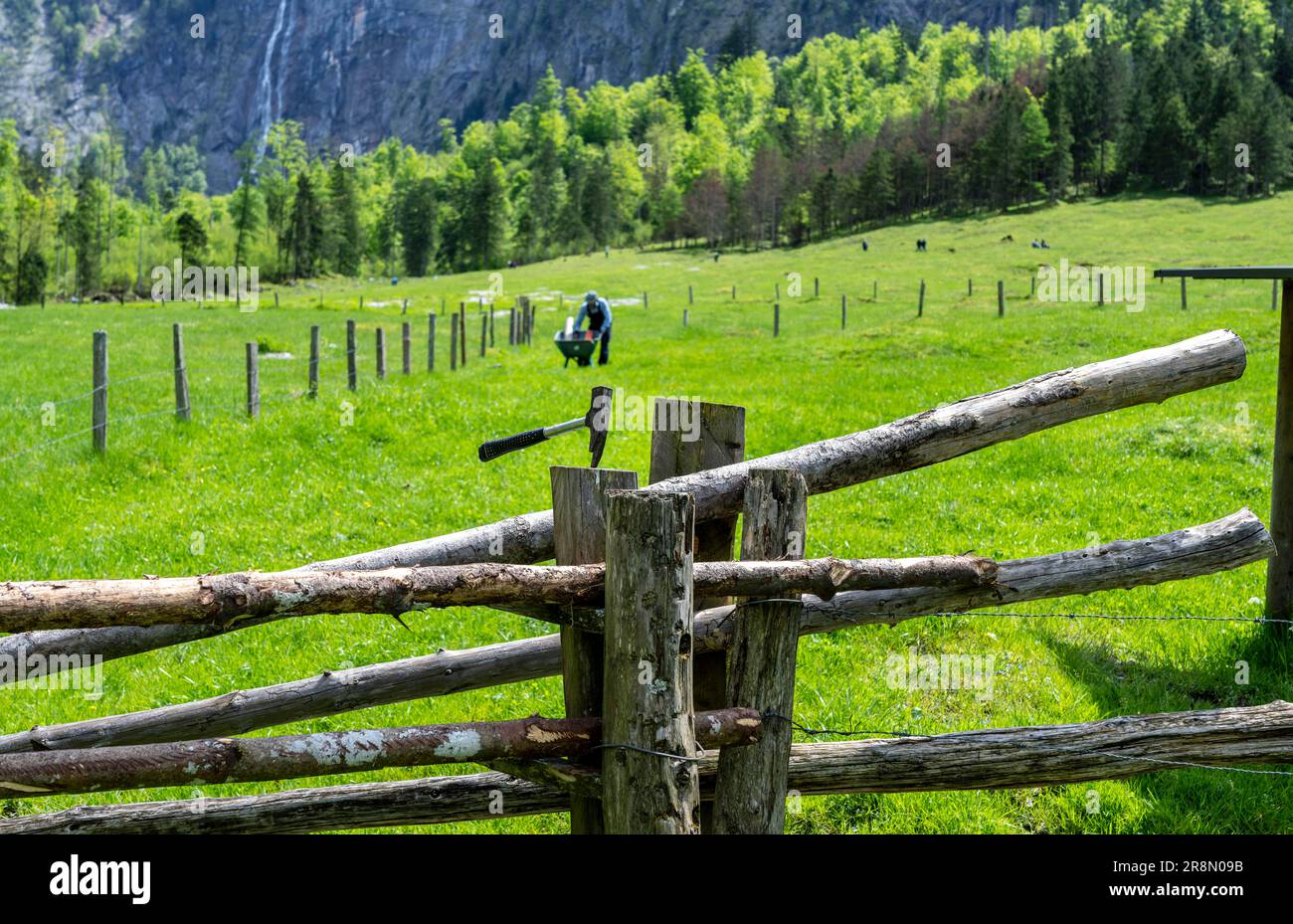 Alpine farmer working on the wooden fence, Obersee, Berchtesgadener ...