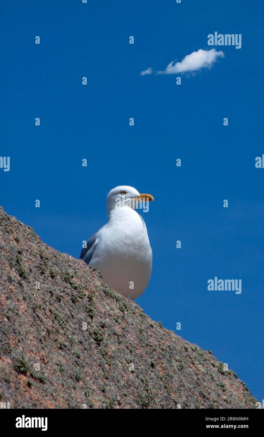 Observation post rock hi-res stock photography and images - Alamy