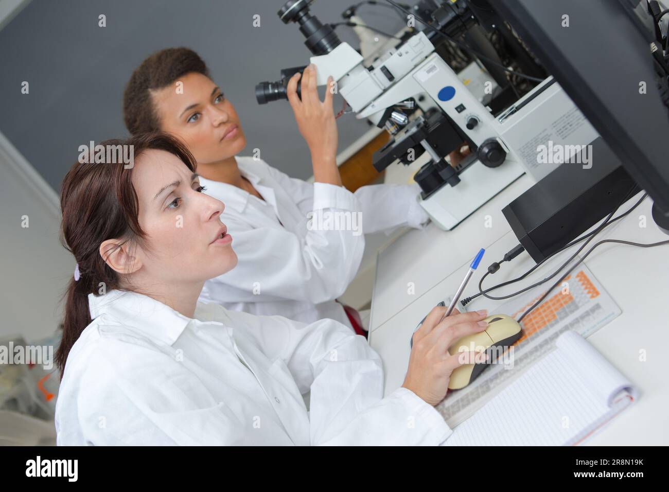 the scientists on experimental process Stock Photo - Alamy