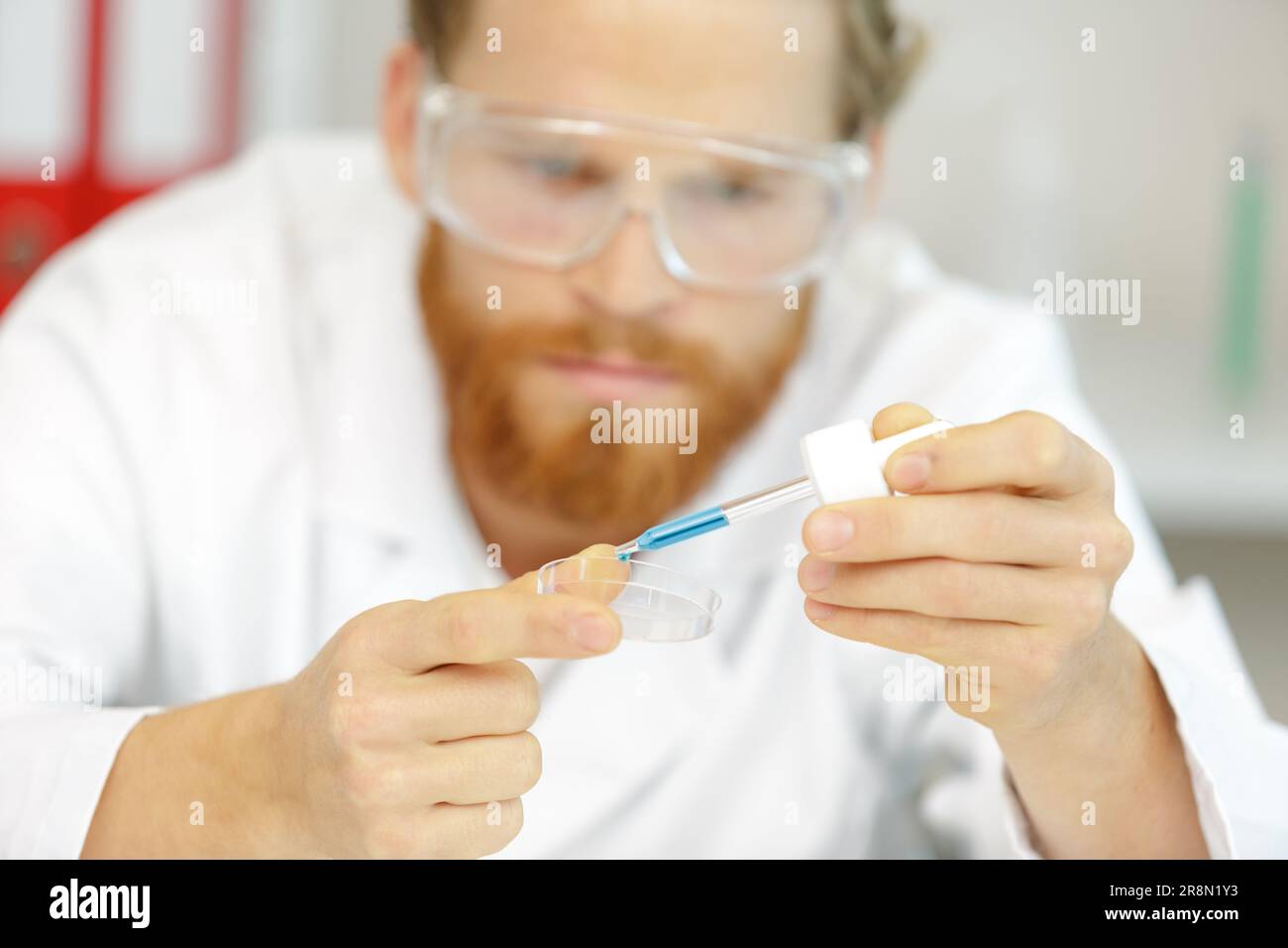 close up of microbiological laboratory test Stock Photo - Alamy