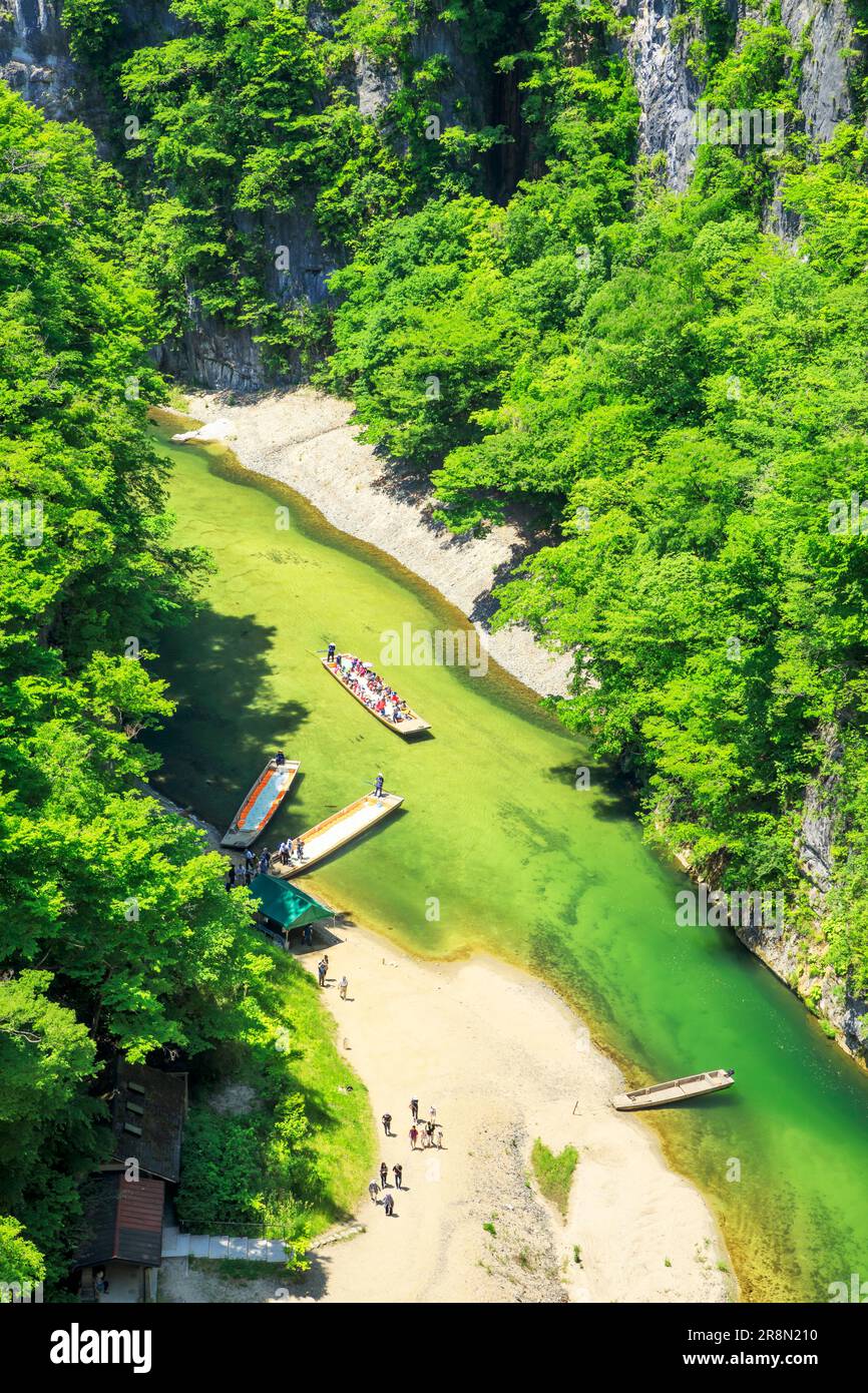 Geibikei in fresh green Stock Photo - Alamy
