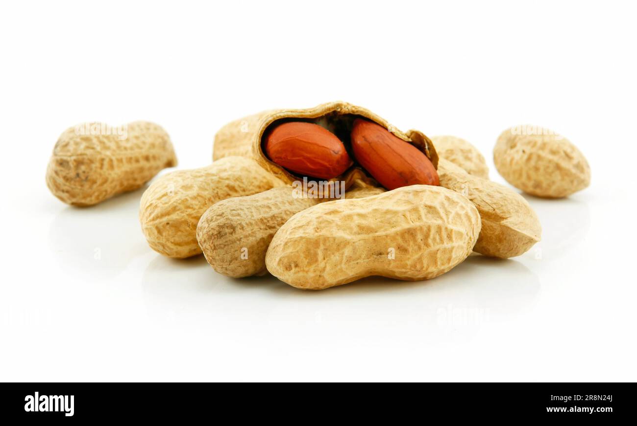 Ripe Dried Peanut Isolated on White Background Stock Photo - Alamy