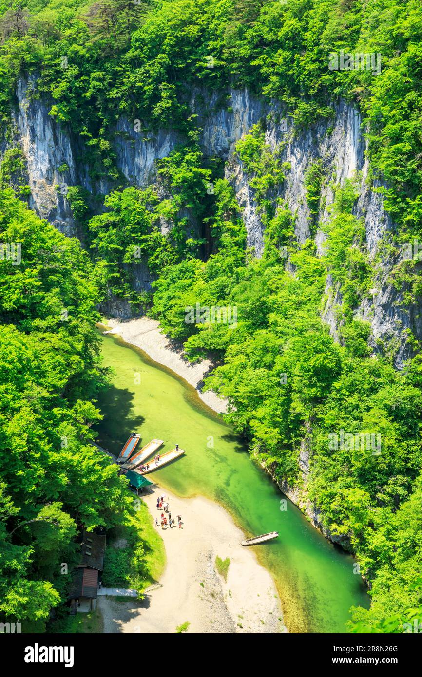 Geibikei in fresh green Stock Photo - Alamy